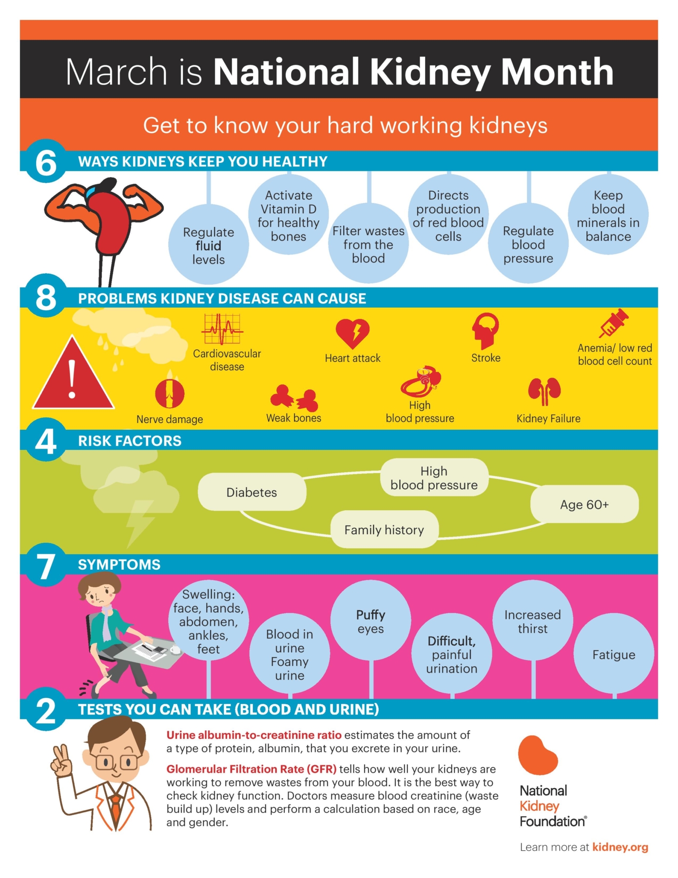 5 Simple Steps to Improve Your Kidney Health Today - Memorial Health System